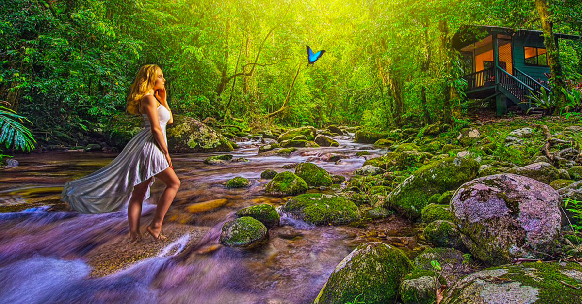 Secluded Rainforest Accommodation, Qld | The Hideaway